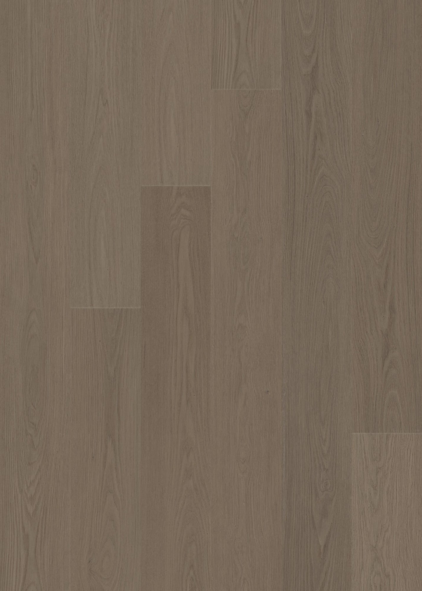 Coretec Vv880-03032 Ct Prem 7" X 60" Embossed Vinyl Flooring ...
