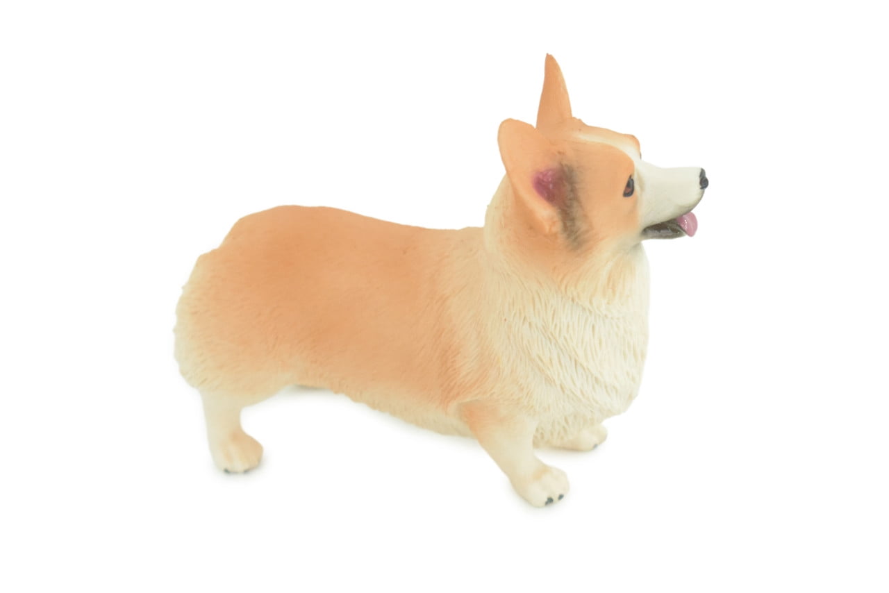 Corgi Dog, Pembroke Welsh Corgi, Museum Quality, Hand Painted ...