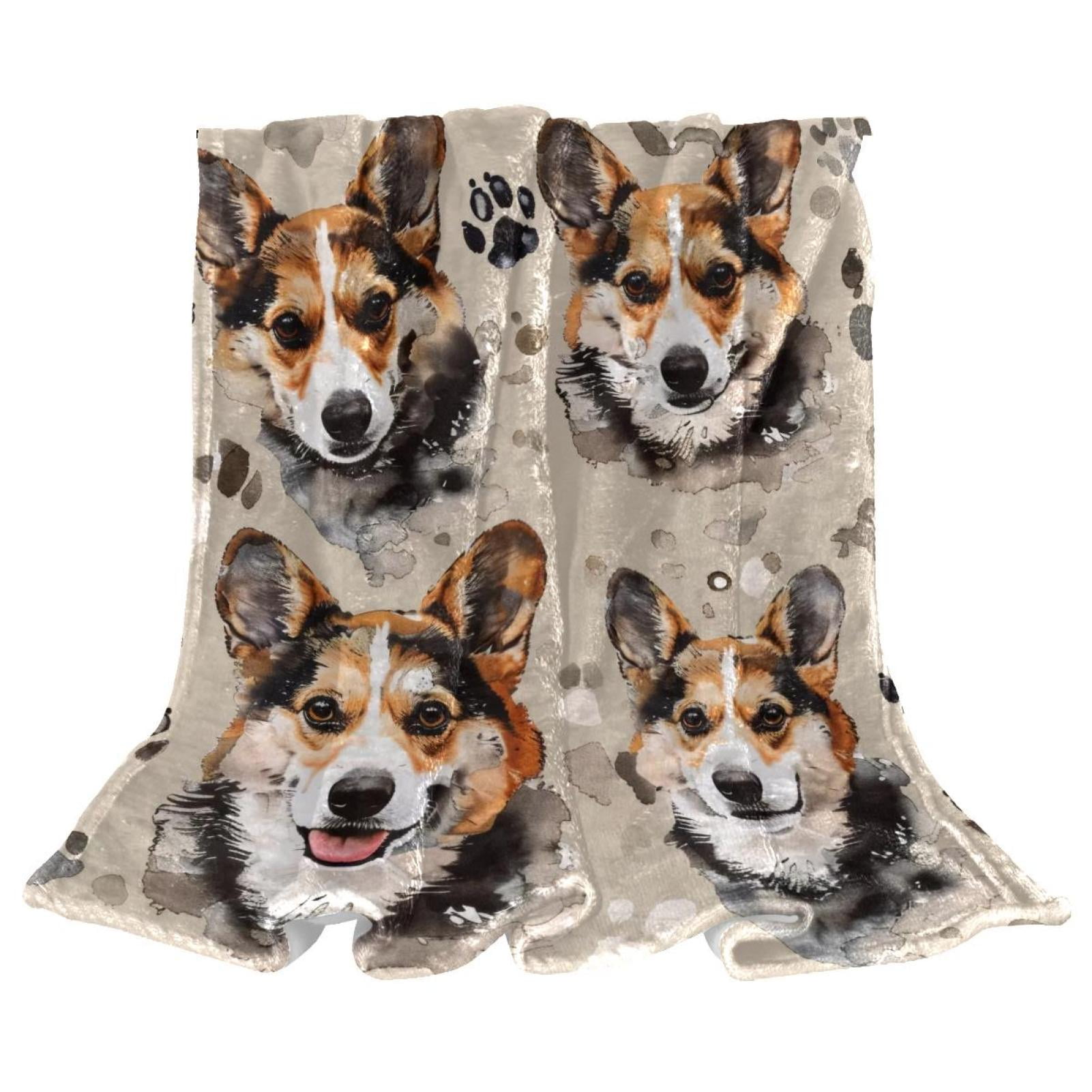 Corgi Dogs Pawprints Plush Throw Blanket for Couch 59" x 79 ...