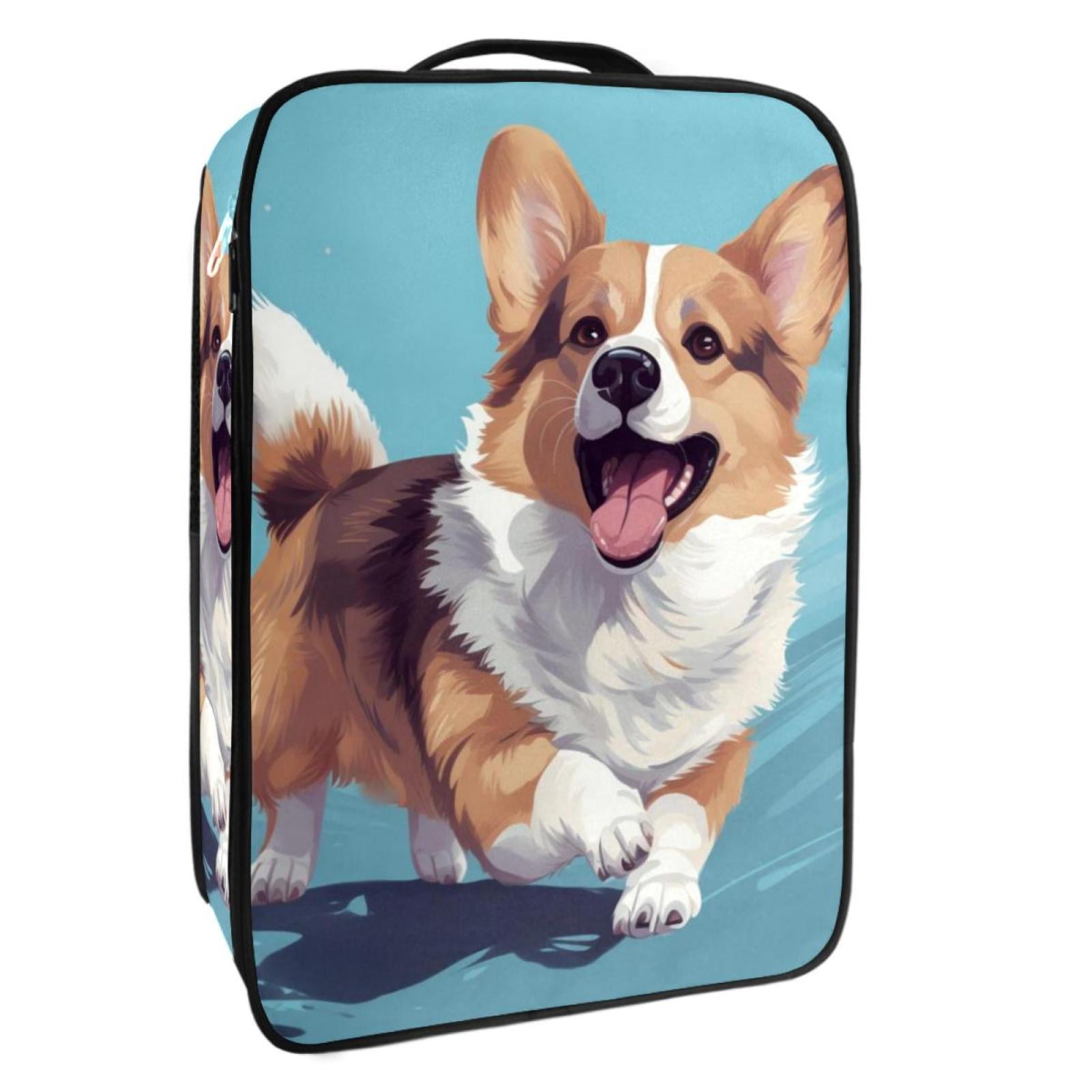 Corgi Polyester Shoe Boxes - Storage Solution for Shoes - 23x31cm ...