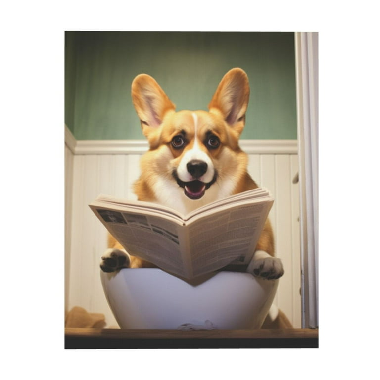 corgi reading