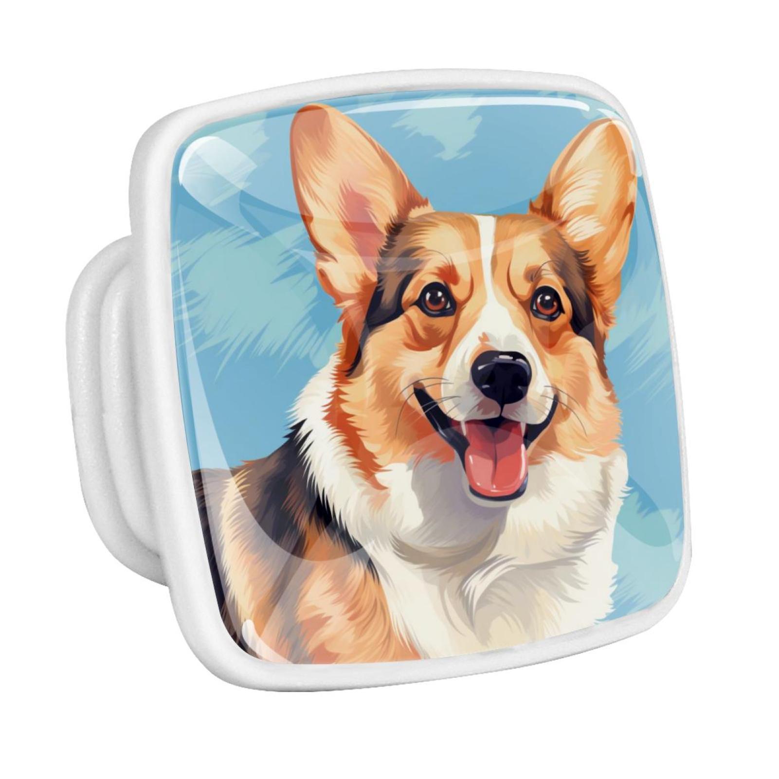 Corgis Pet Animals Fluorescent Drawer Pulls with Screws Square 4-Pack ...