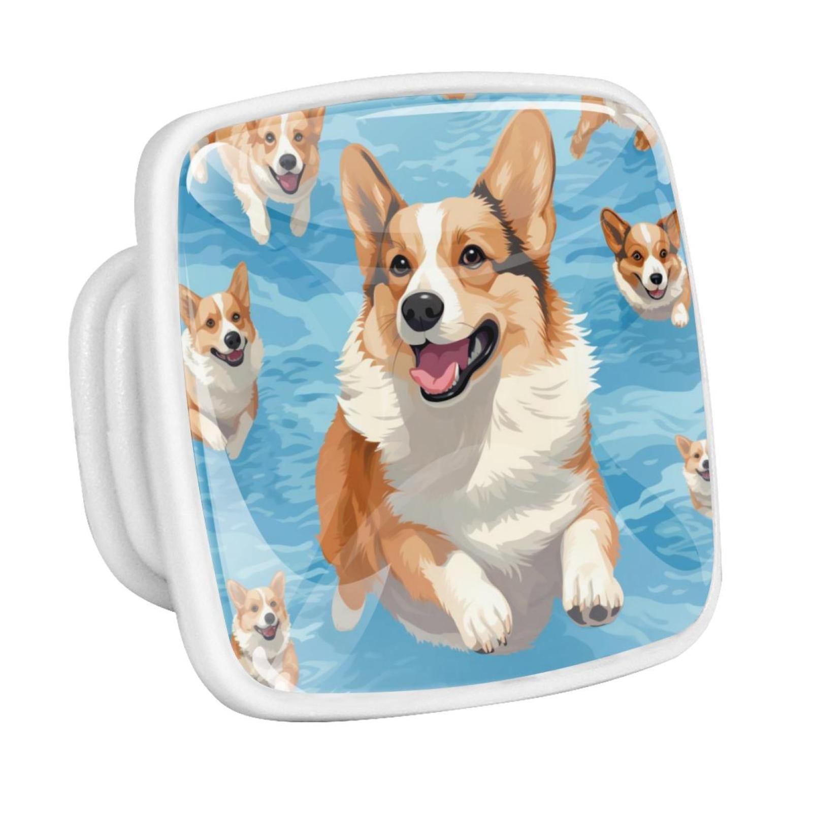 Corgis Pet Animals Fluorescent Drawer Pulls with Screws Square 4-Pack ...