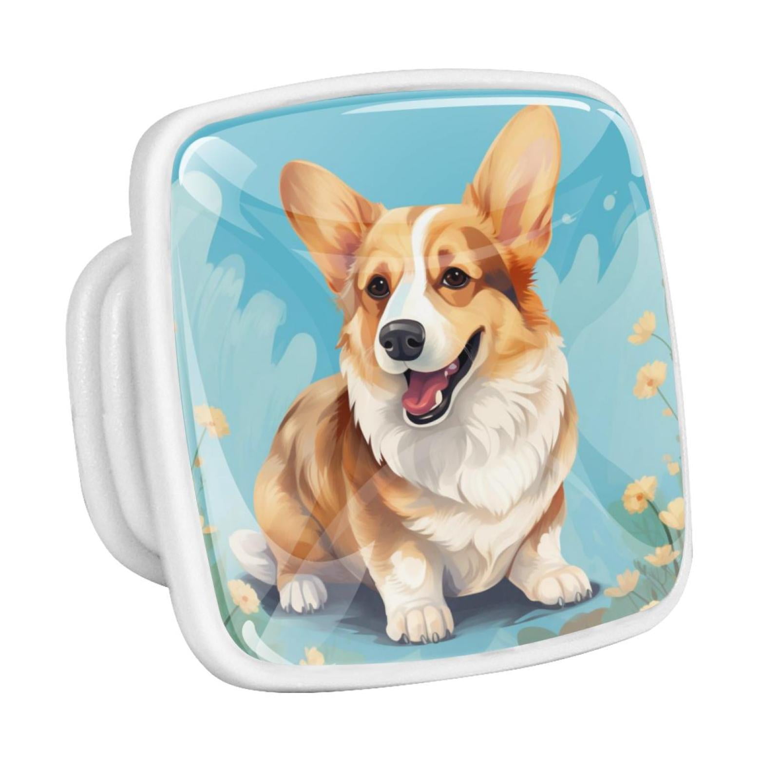 Corgis Pet Animals Fluorescent Drawer Pulls with Screws Square 4-Pack ...