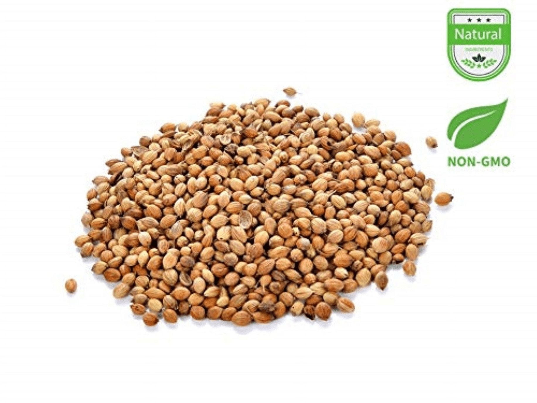 Coriander Seeds (Sabut Dhaniya) - Walmart.com