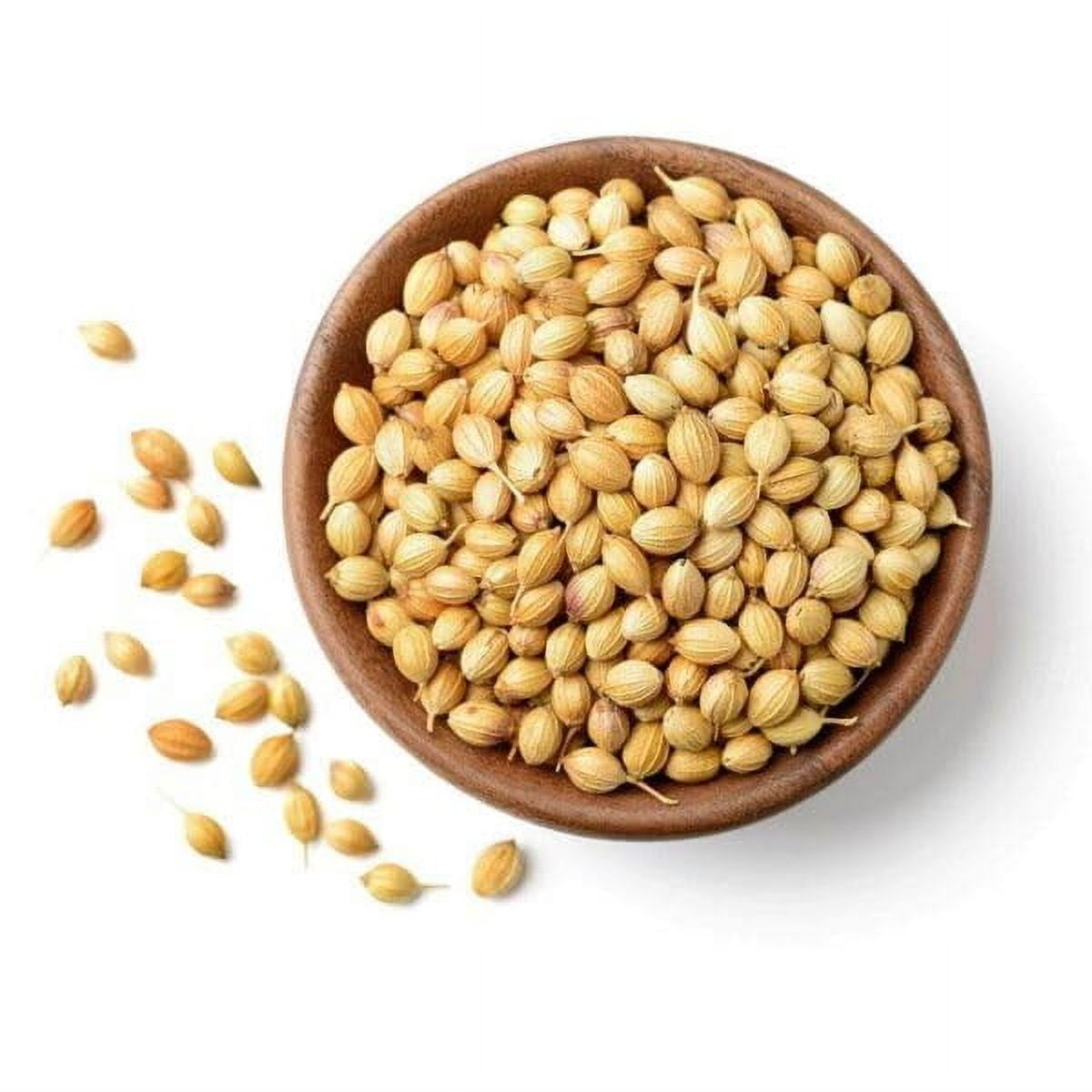 Coriander Seeds Whole-450 GRAMS | Dhaniya Seeds | Sabut Dhania | Whole ...