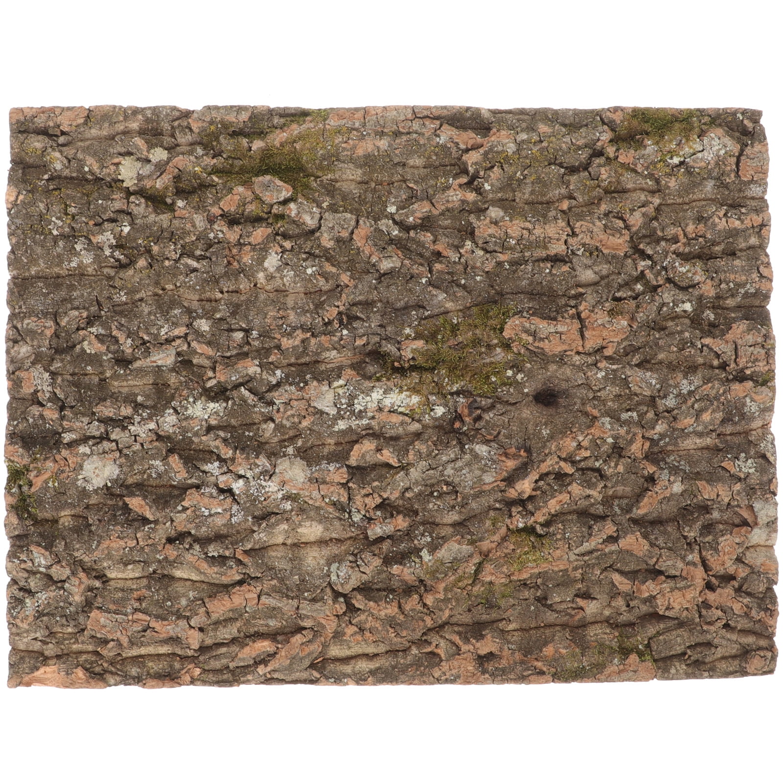 Cork Bark Animal for Reptiles Terrarium Background Habitat Decorations ...