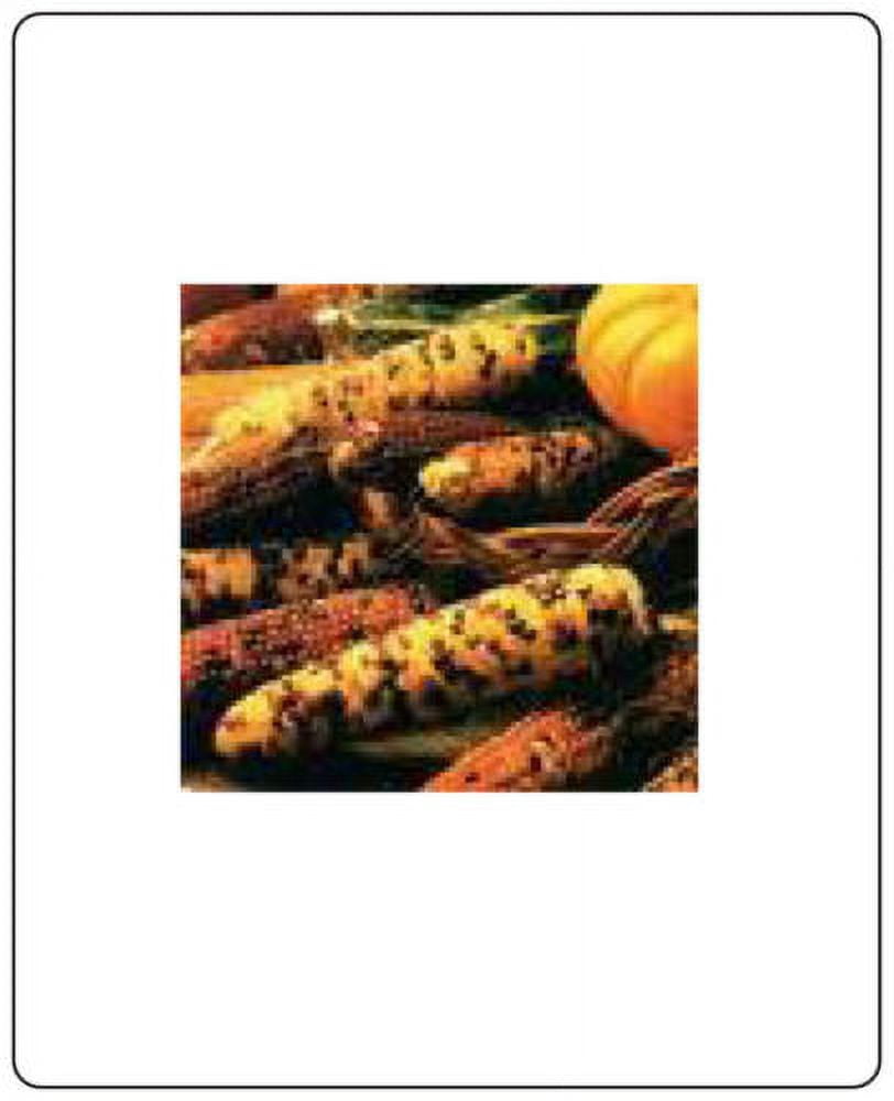 Corn Carousel Ornamental Great Heirloom Vegetable BUKL 1,000 Seeds ...