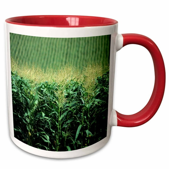 3drose, Corn Field Crop, Agriculture, Farm - Li03 Dfr0085 - David R ...