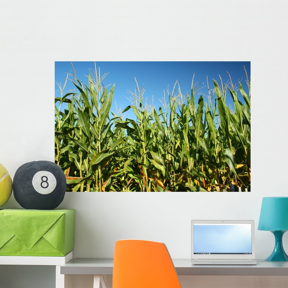 Corn Field Wall Mural by Wallmonkeys Peel and Stick Graphic (36 in W x ...