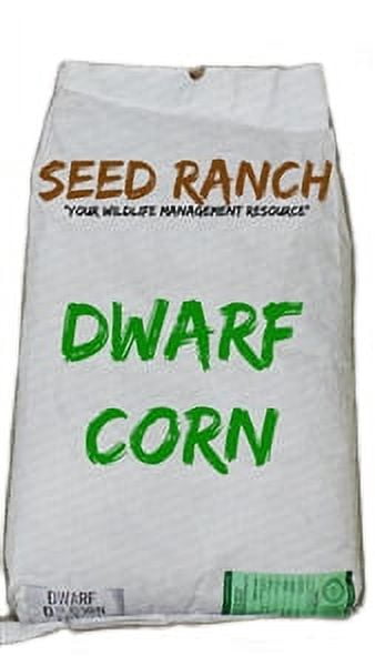Corn Food Plot Seed ( Dwarf ) - 1 Lb. - Walmart.com