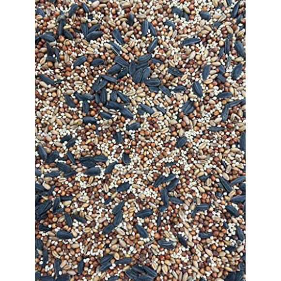 40 Lb Wild Bird Seed