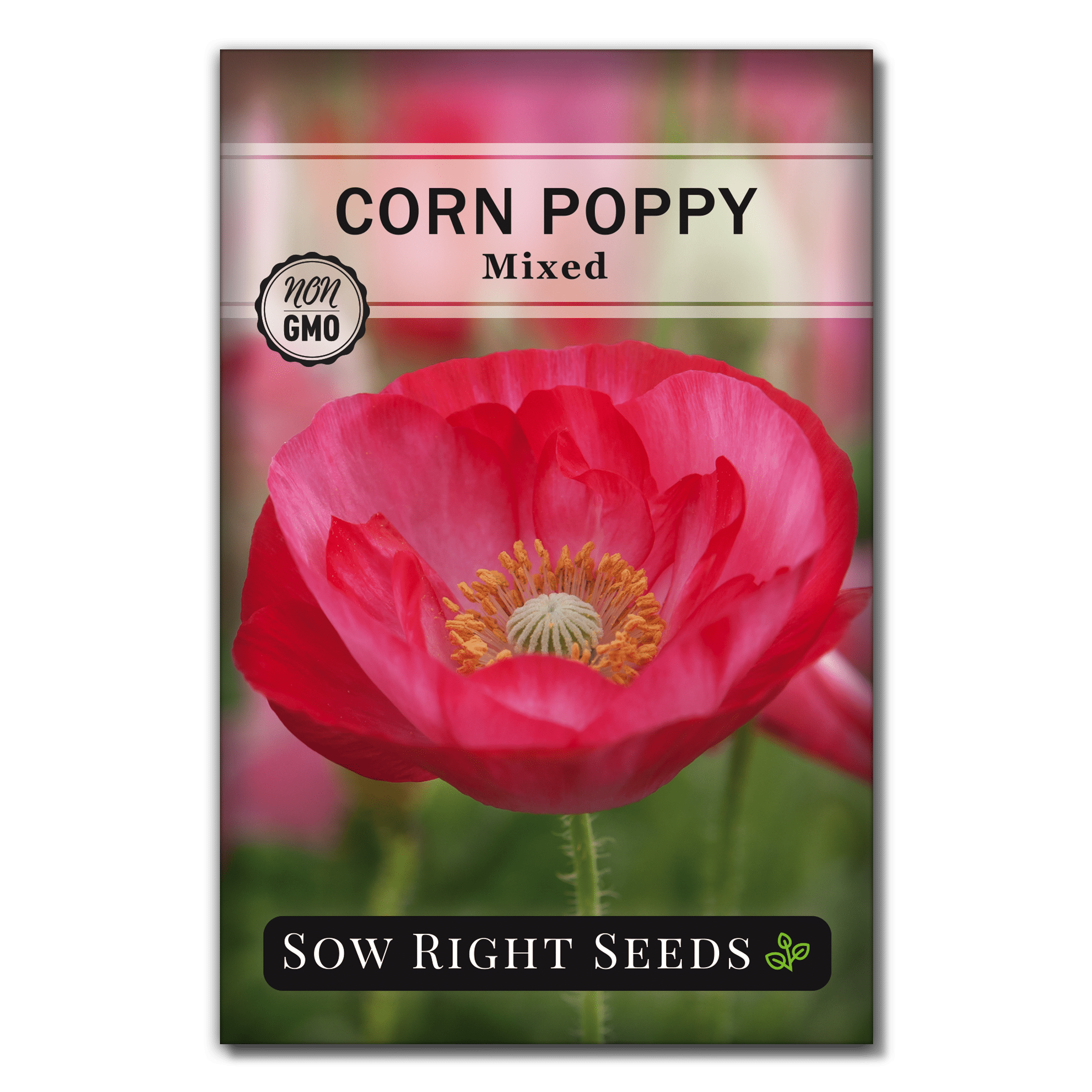 Corn Poppy Seeds - Non GMO Heirloom Varieties for Planting - Walmart.com