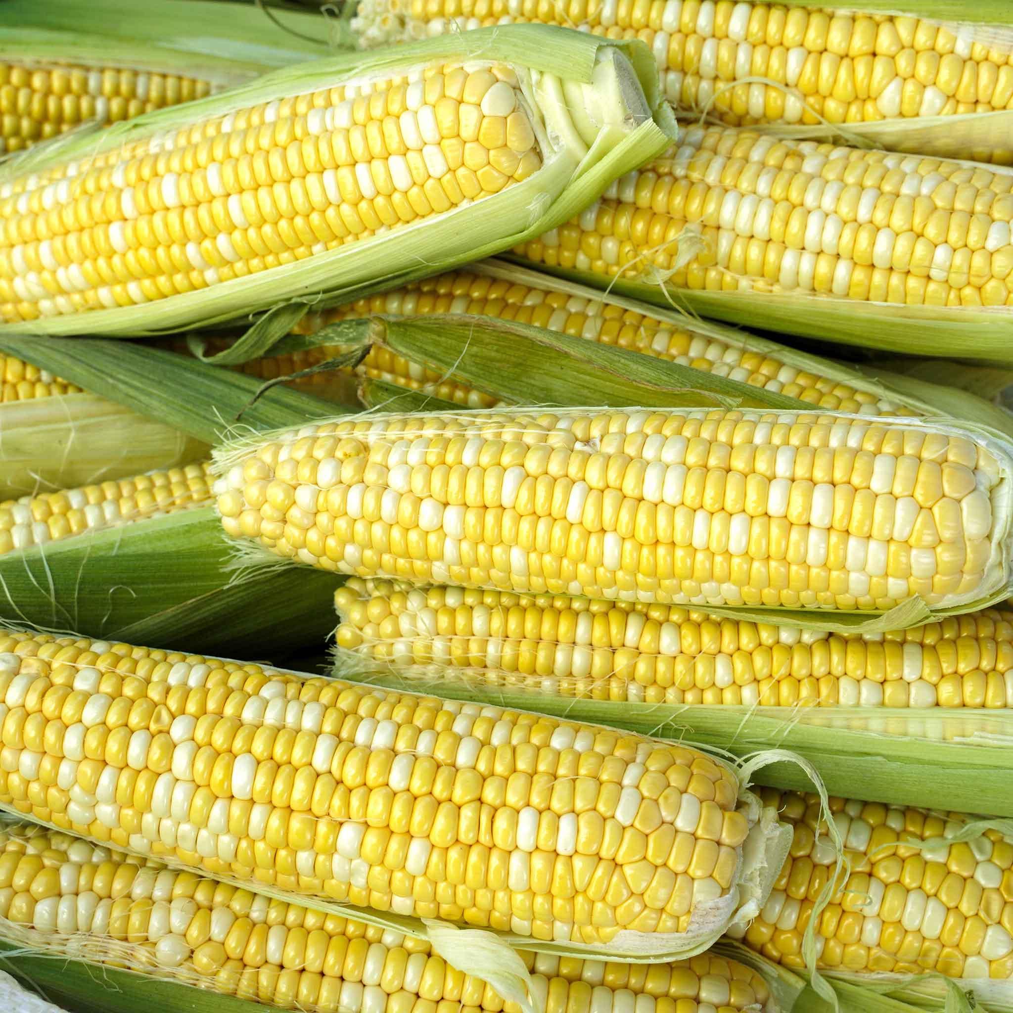 Eden Brothers Corn Seeds - Bilicious - Walmart Business Supplies