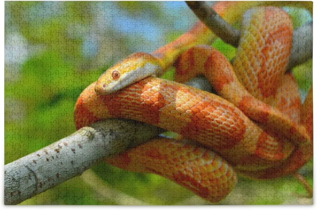 Corn Snake Animal Jigsaw Puzzle for Adults 300 Pieces, Fun Educational ...