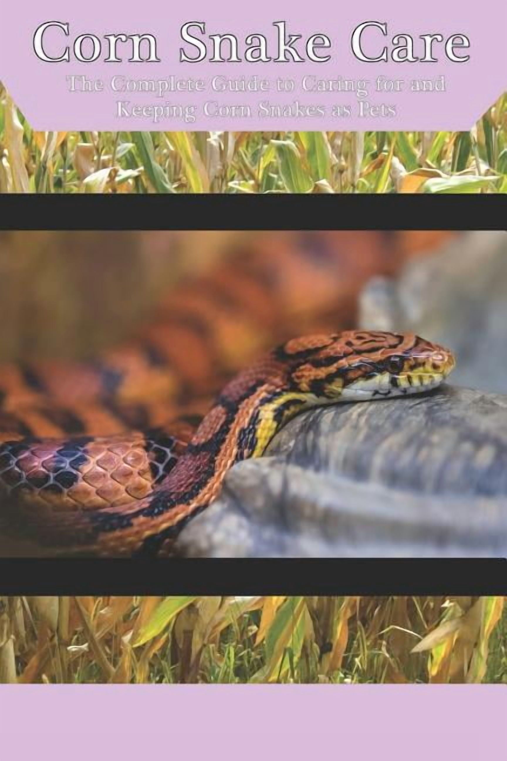 Corn Snake Care: The Complete Guide to Caring for and Keeping Corn ...