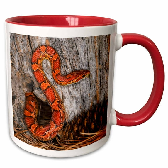 3drose, Corn Snake Emerging from Hole in Barn., 11oz Two-tone Red Mug ...