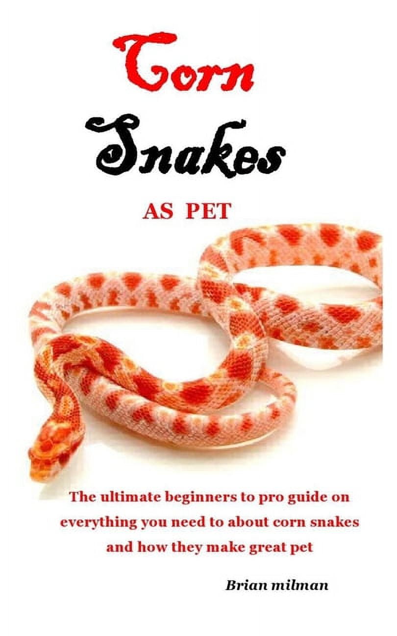Pet Snakes For Beginners