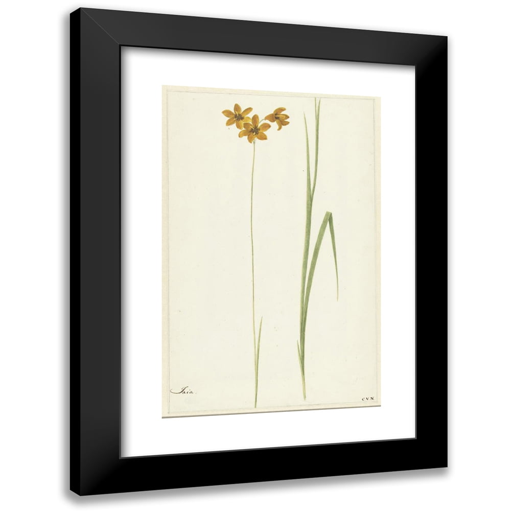 Cornelis van Noorde 11x14 Black Modern Framed Museum Art Print Titled ...