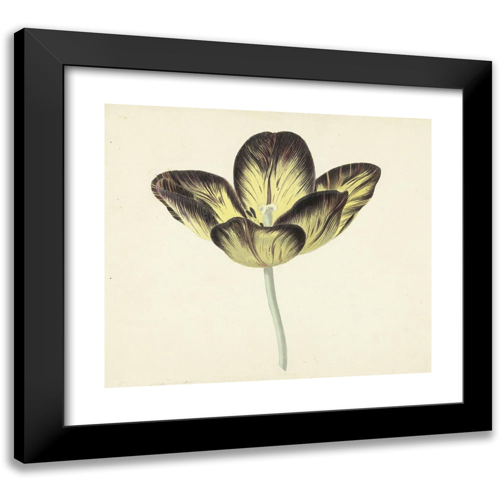 Cornelis van Noorde 14x12 Black Modern Framed Museum Art Print Titled ...