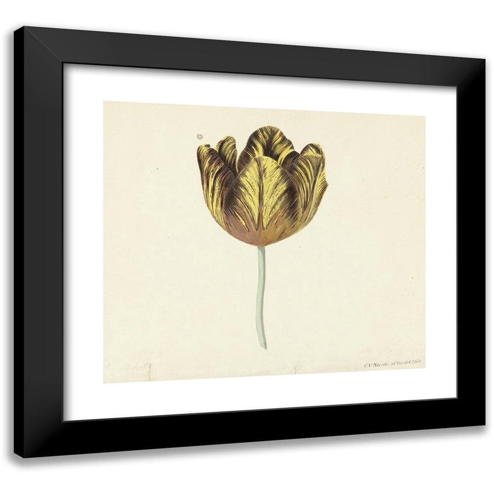 Cornelis van Noorde 14x12 Black Modern Framed Museum Art Print Titled ...