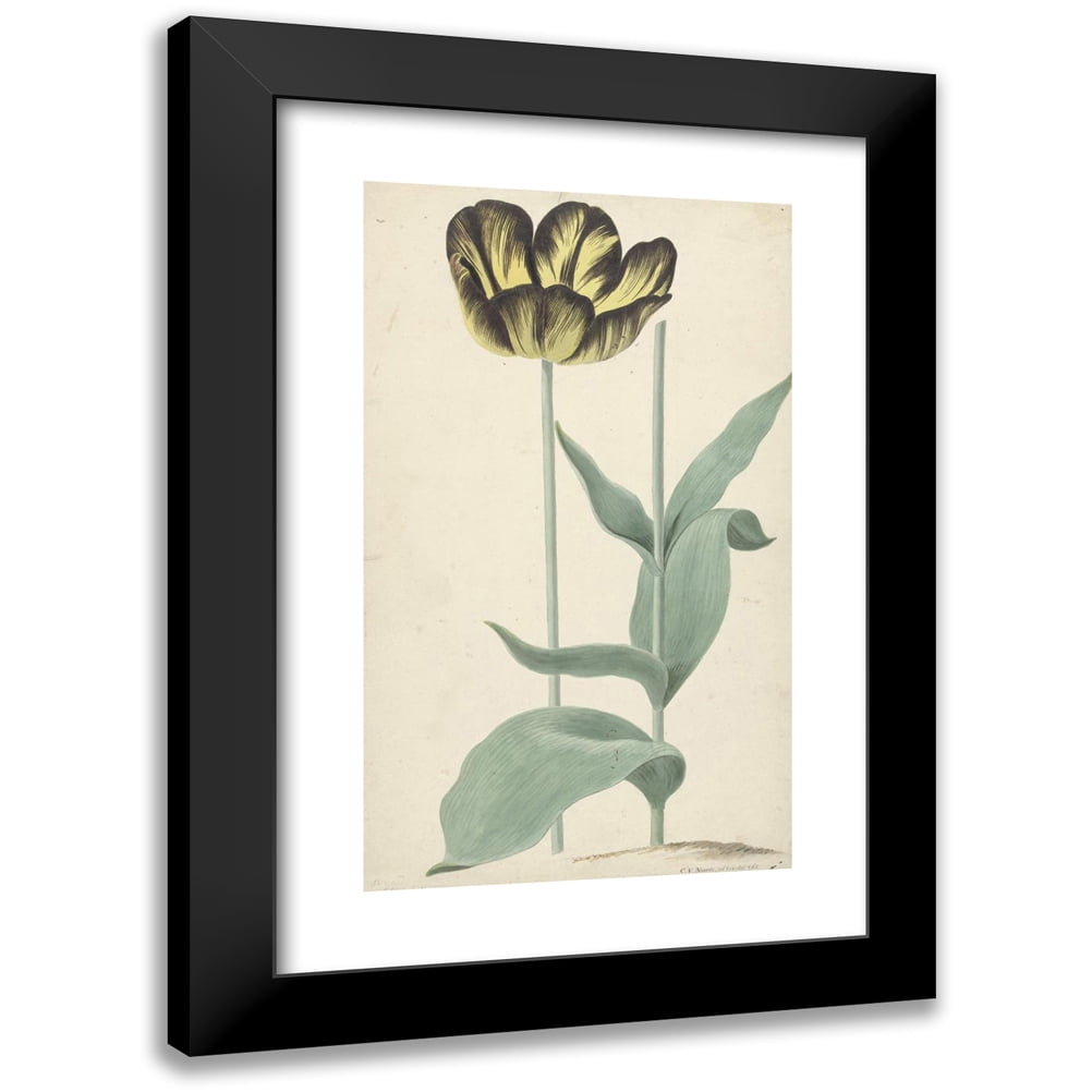 Cornelis van Noorde 16x24 Black Modern Framed Museum Art Print Titled ...