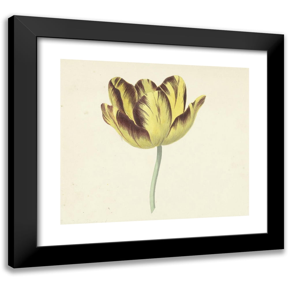 Cornelis van Noorde 17x15 Black Modern Framed Museum Art Print Titled ...