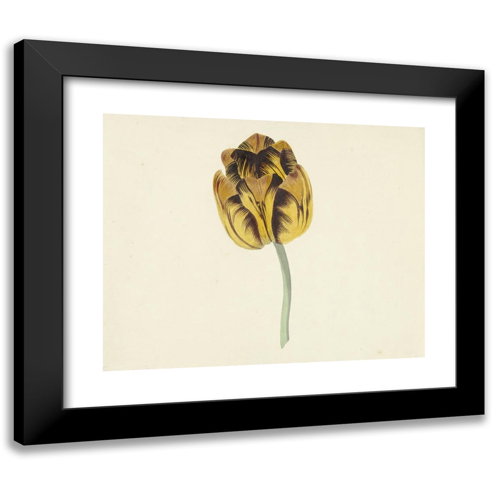 Cornelis van Noorde 24x20 Black Modern Framed Museum Art Print Titled ...