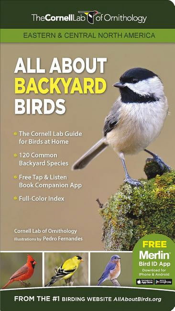 Cornell Lab of Ornithology All about Backyard Birds- Eastern & Central ...