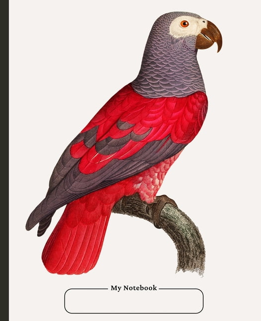 Cornell Notebook, college ruled, with dot grid note-taking area, 100 ...