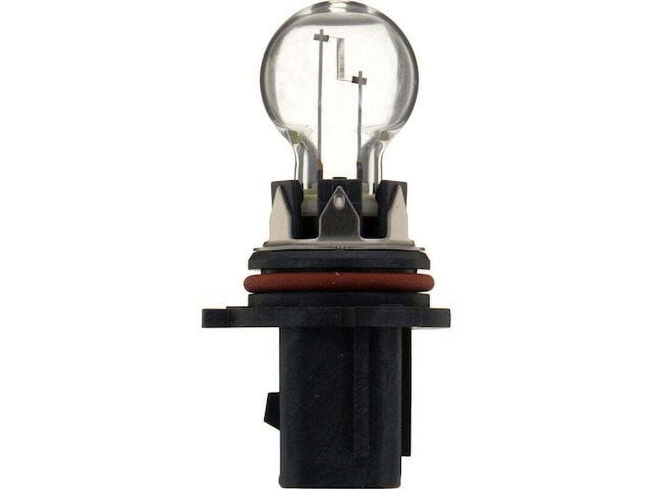 Cornering Light Bulb - Compatible with 2009 - 2014 Audi Q5 2010 2011 ...