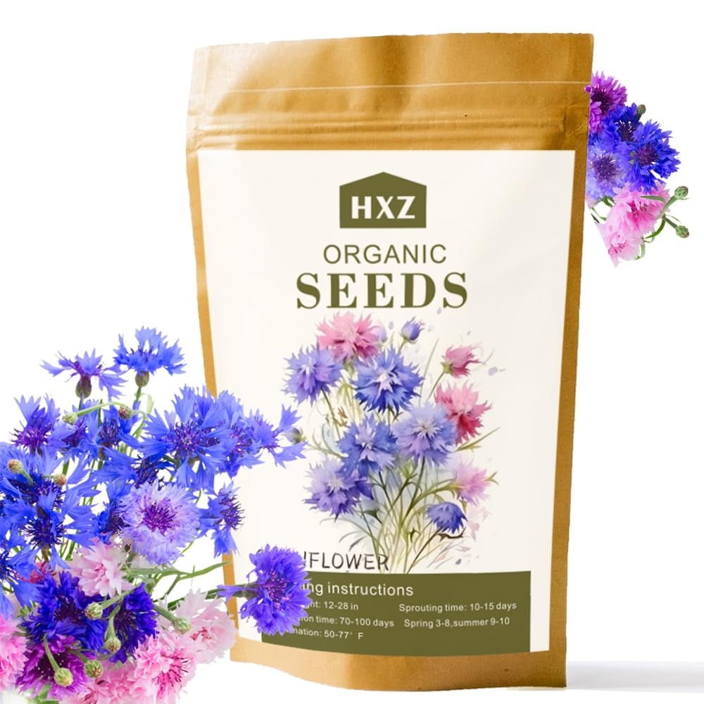 Cornflower Seeds for Planting, Pack of NSD3 2000 Cornflower Seeds Bachelor Button Flower Seeds ...