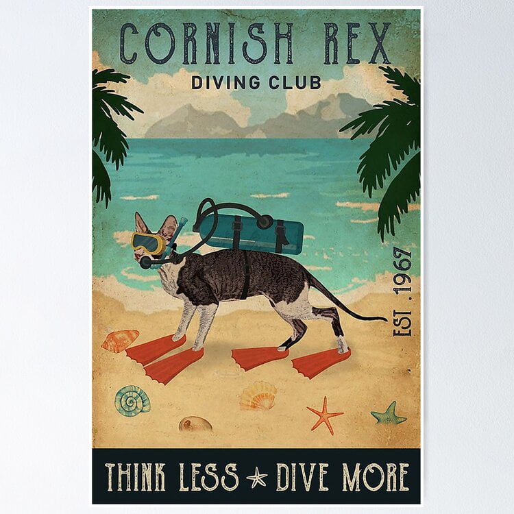 Cornish Rex Cat Gift Vintage Diving Club Poster- Unframed Poster | Wall ...