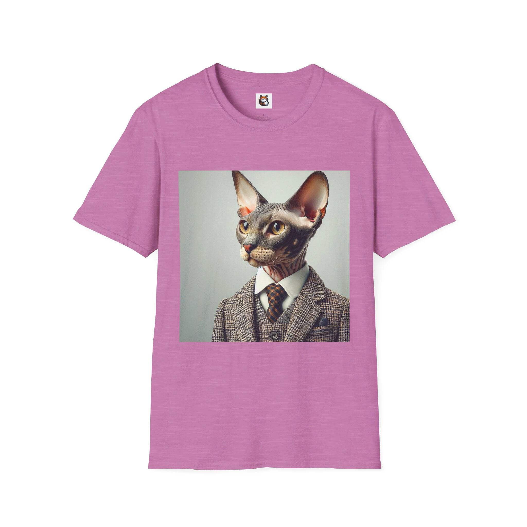 Cornish Rex Domestic Cat - Walmart.com