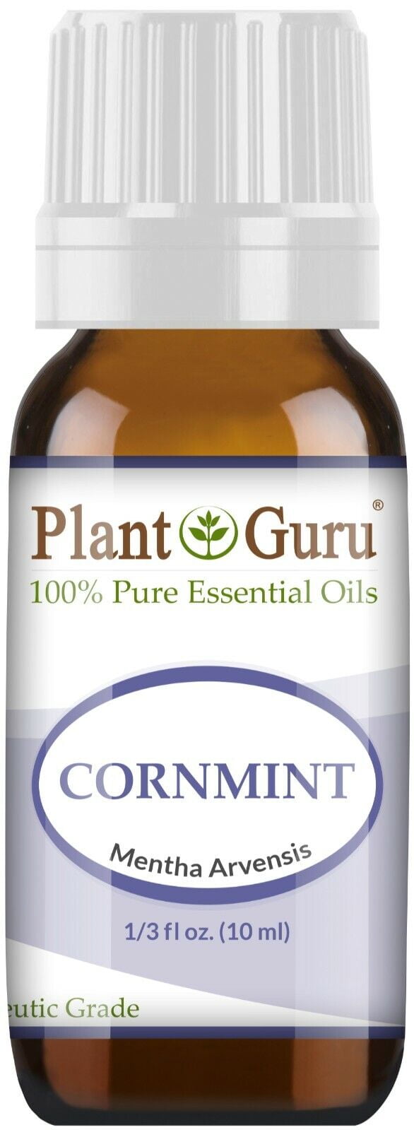 Plant Guru Cornmint Essential Oil 10ml, Japanese Peppermint, 100% Pure ...