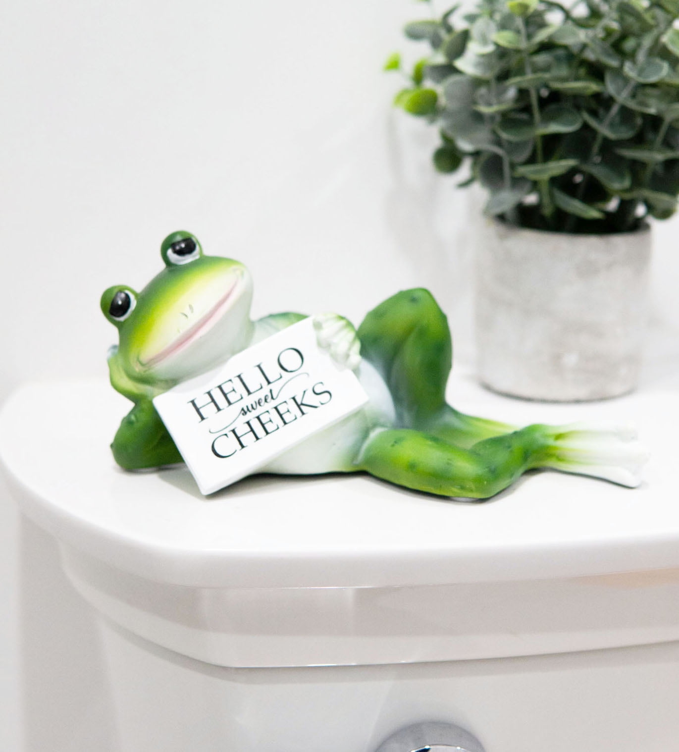 Corny Green Frog With Hello Sweet Cheeks Sign Decorative Toilet Topper ...