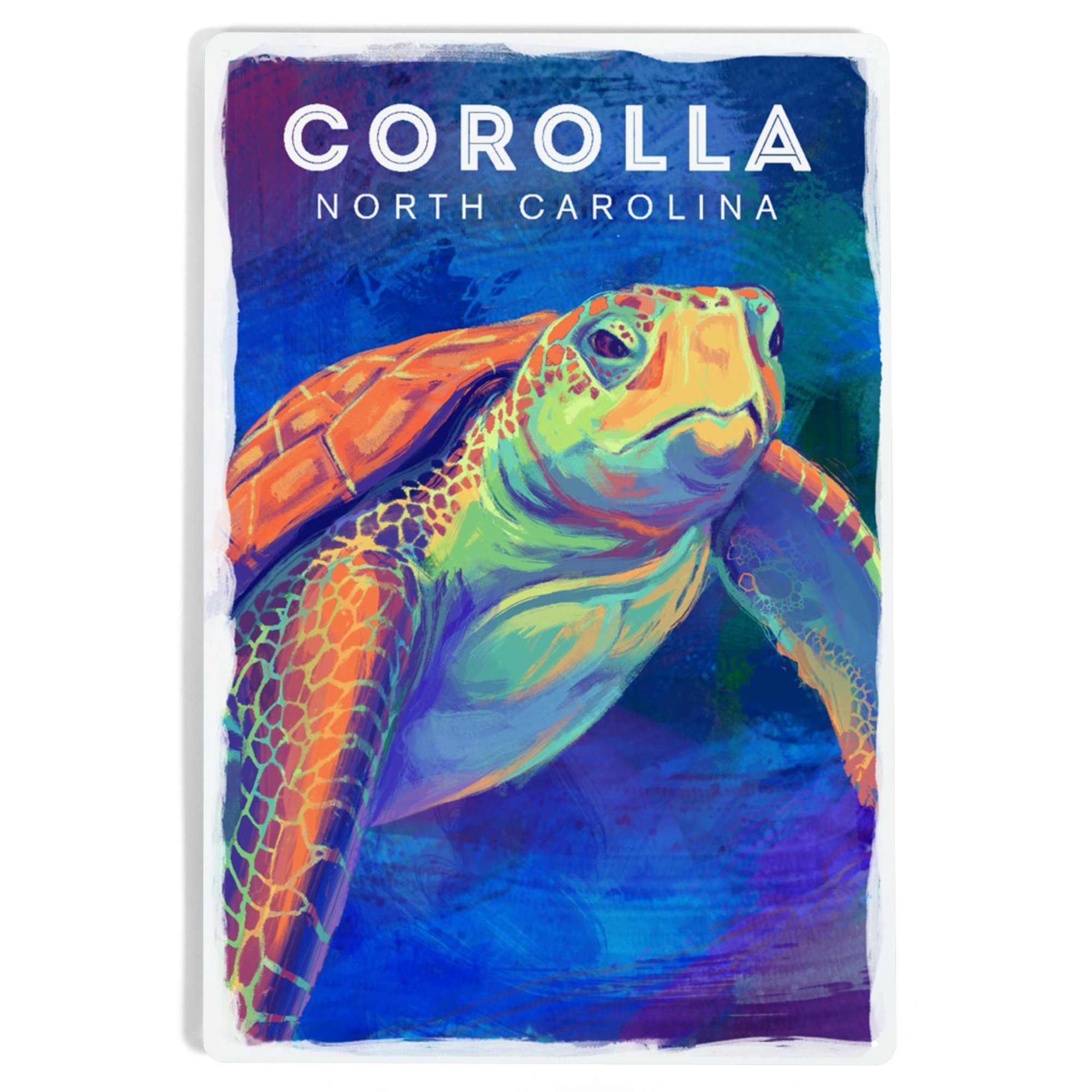 Corolla, North Carolina, Sea Turtle, Vivid (12x18 Aluminum Art, Indoor ...