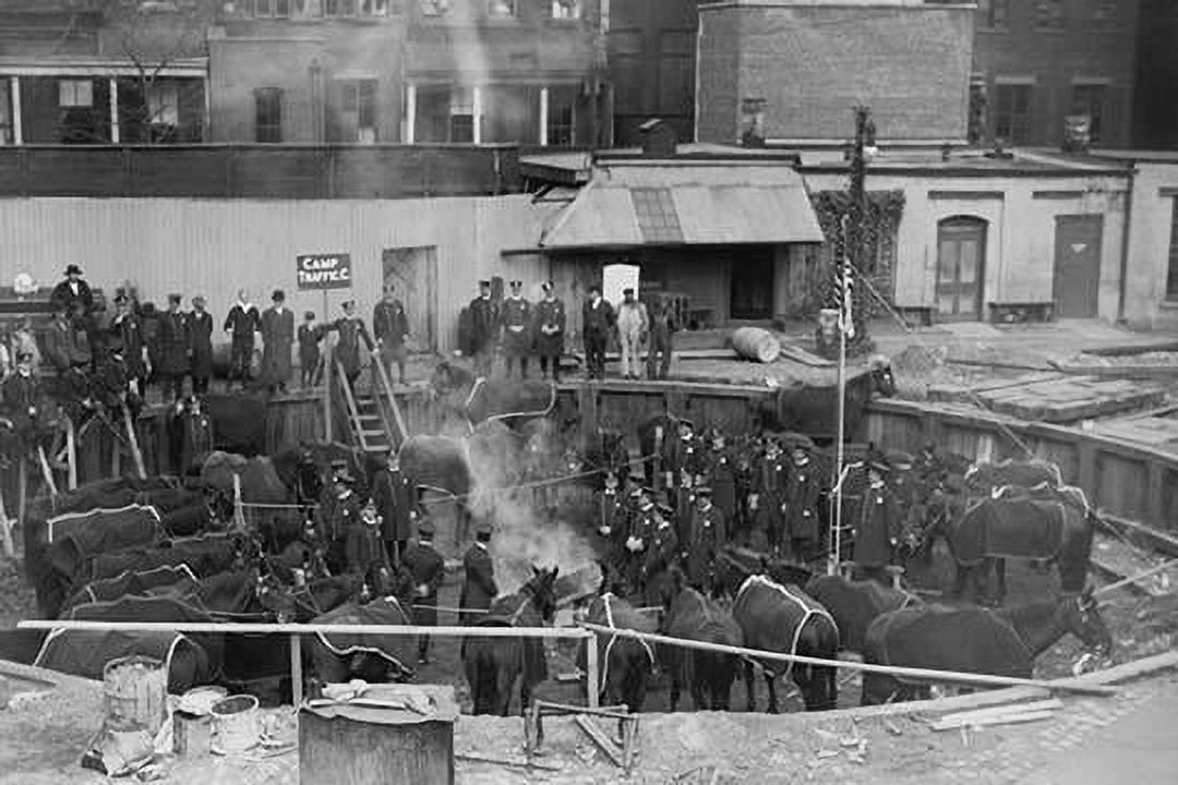 Corralled Police Horses in an Below Ground Pen prepare for strike ...