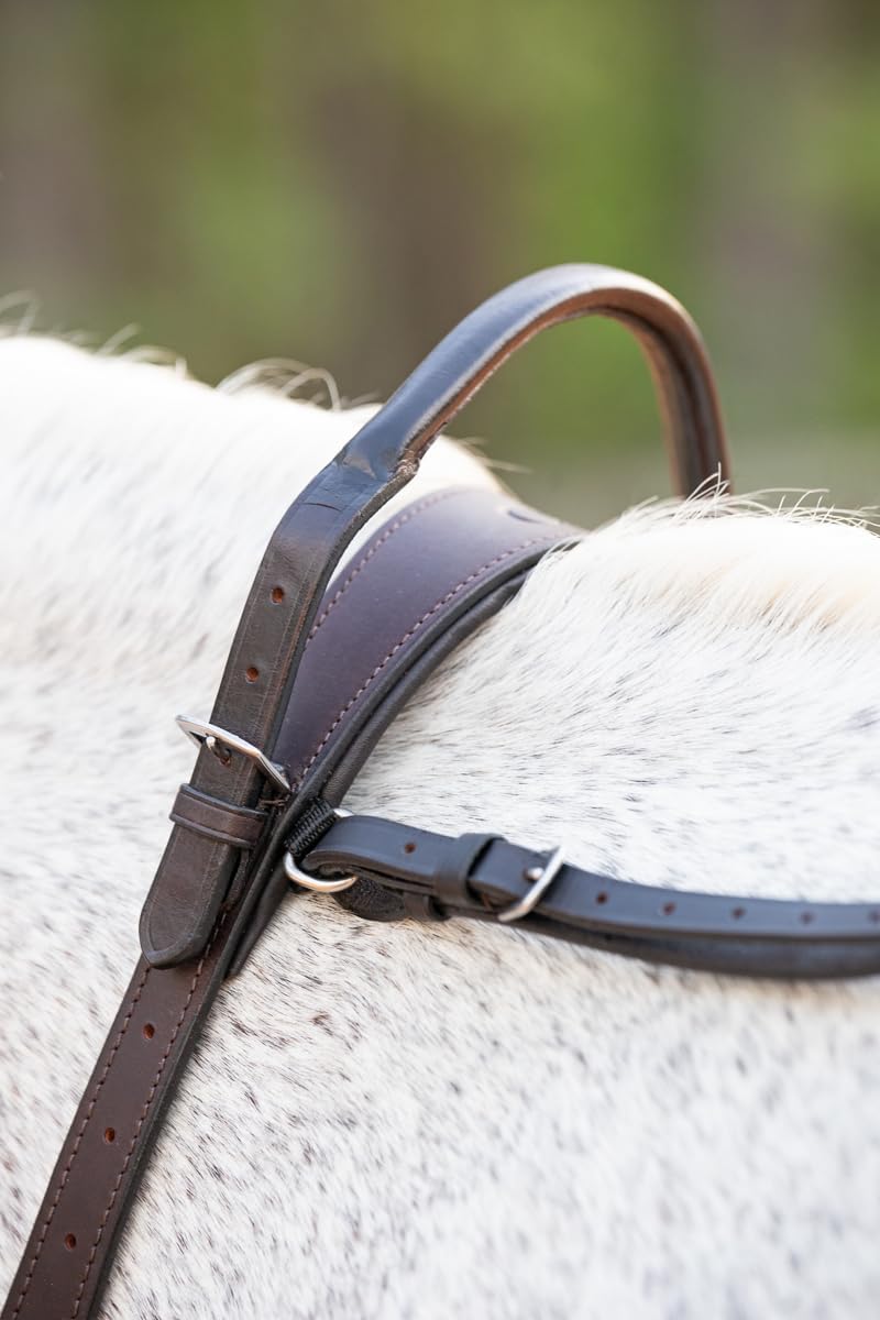 Correct Connect Double Neck Strap (Brown, Full) - Walmart.com