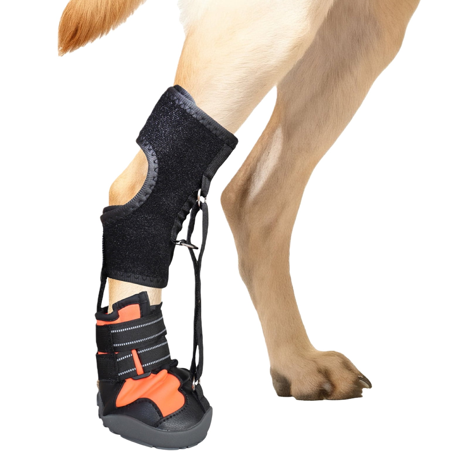 Corrective Dog Shoes Drops Foot Brace with Reel for Dogs with Feet ...