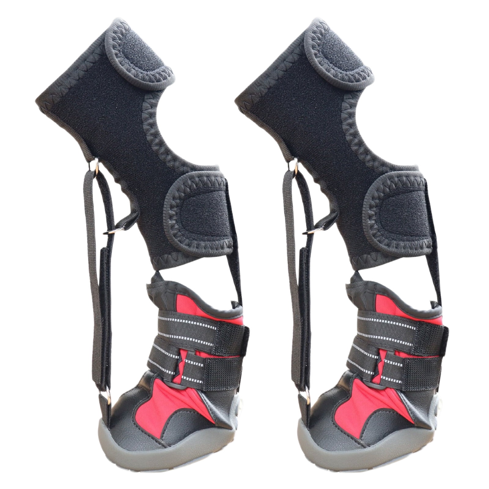 Corrective Dog Shoes Foot Brace with Reel for Dogs with Feet Issue ...