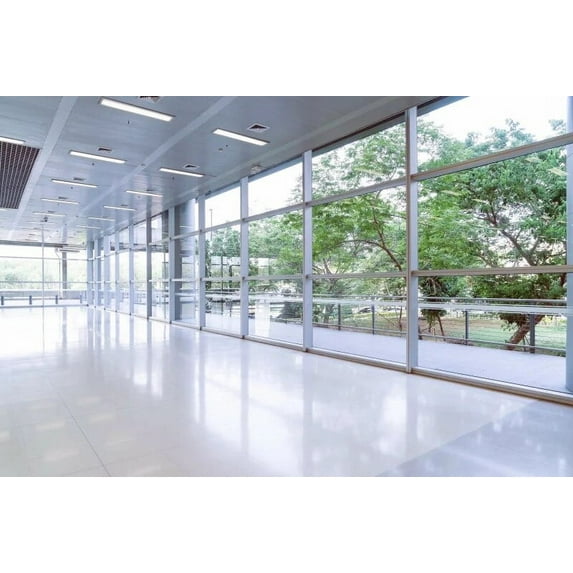 Corridor Modern Office Building French Window Tree View Room Interior ...