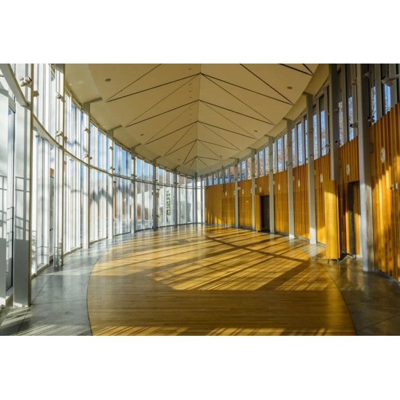 Corridor Modern Office Building French Window Tree View Room Interior ...