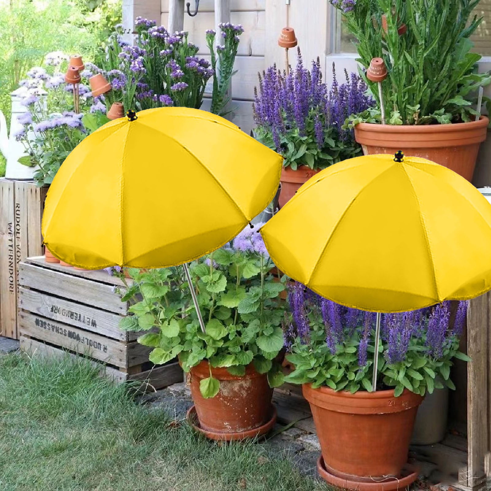 Corrugated Edge Upgraded Outdoor Plant Umbrellas 23.6" Large Garden ...