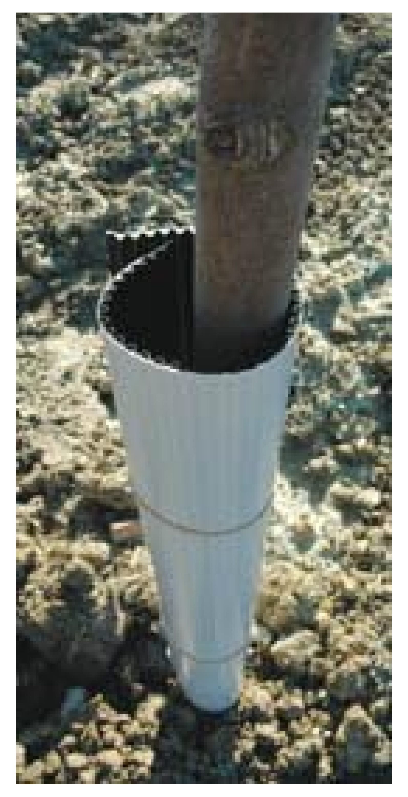 Corrugated Plastic Tree Guards, 4-Foot Long, 12-Inch Width (Bundle of ...