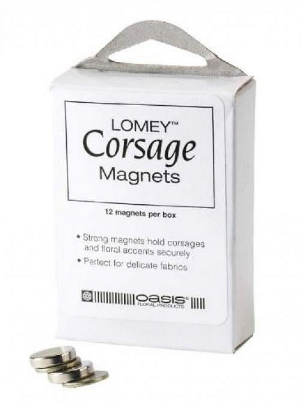 Corsage Magnets 12 per pk - Walmart.com