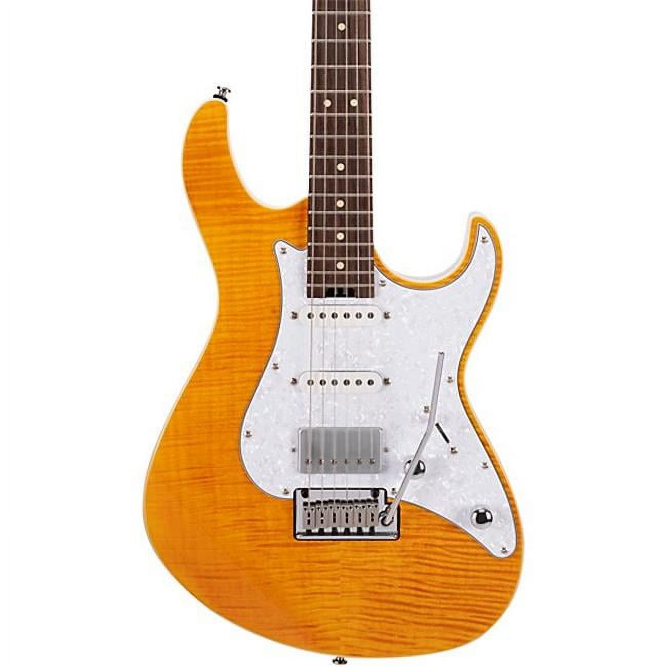 Cort Guitars G Series Double Cutaway Electric Guitar, Multicolor Finish ...