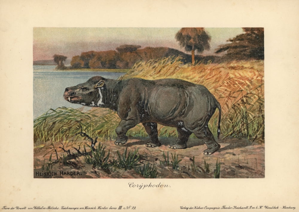 Coryphodon, Extinct Genus Of Pantodont Mammal Poster Print By ...
