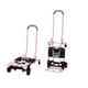 Cosco Shifter Multi-Position Folding Hand Truck and Cart, Pink ...