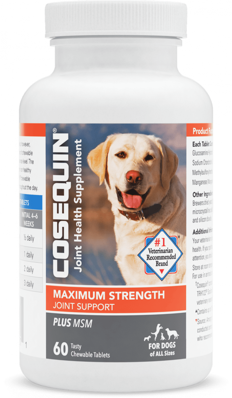 Cosequin DS Plus MSM Joint Care Chewable Strength Supplement for Dogs ...